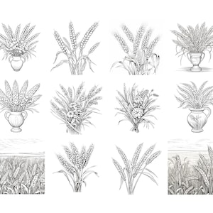 120 Procreate Wheat Stamps, Wheat Brush for Procreate, Plant Procreate ...