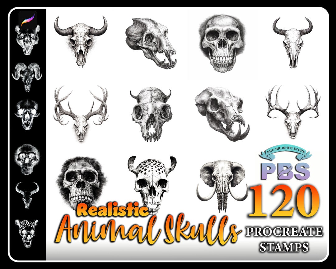 120 Procreate Realistic Animal Skull Stamps, Wild Animal Skulls Brush ...
