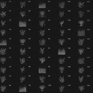 120 Procreate Wheat Stamps, Wheat Brush for Procreate, Plant Procreate ...