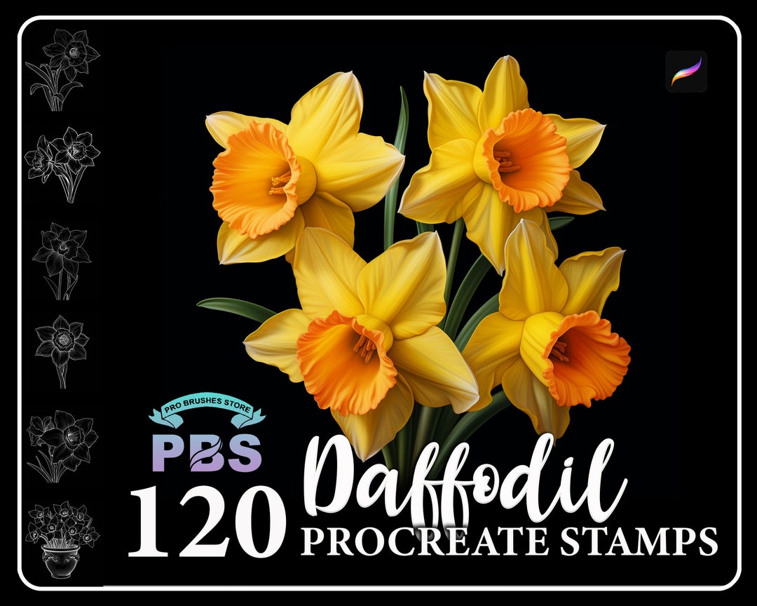 120 Procreate Daffodil Stamps, Daffodil Brush for Procreate, Flower ...