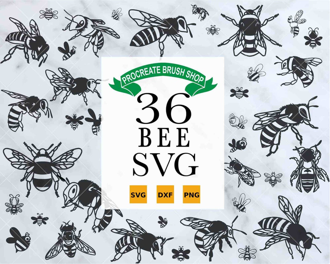 Bee SVG Bundle Cute Bee SVG 36 Bee Svg Honey Bee Svg Bee - Etsy