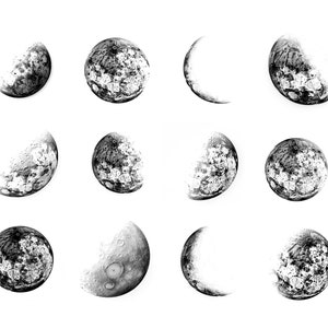 120 Procreate Realistic Moon Stamps, Moon Phase Stamps for Procreate, Moon Procreate Stamp ...