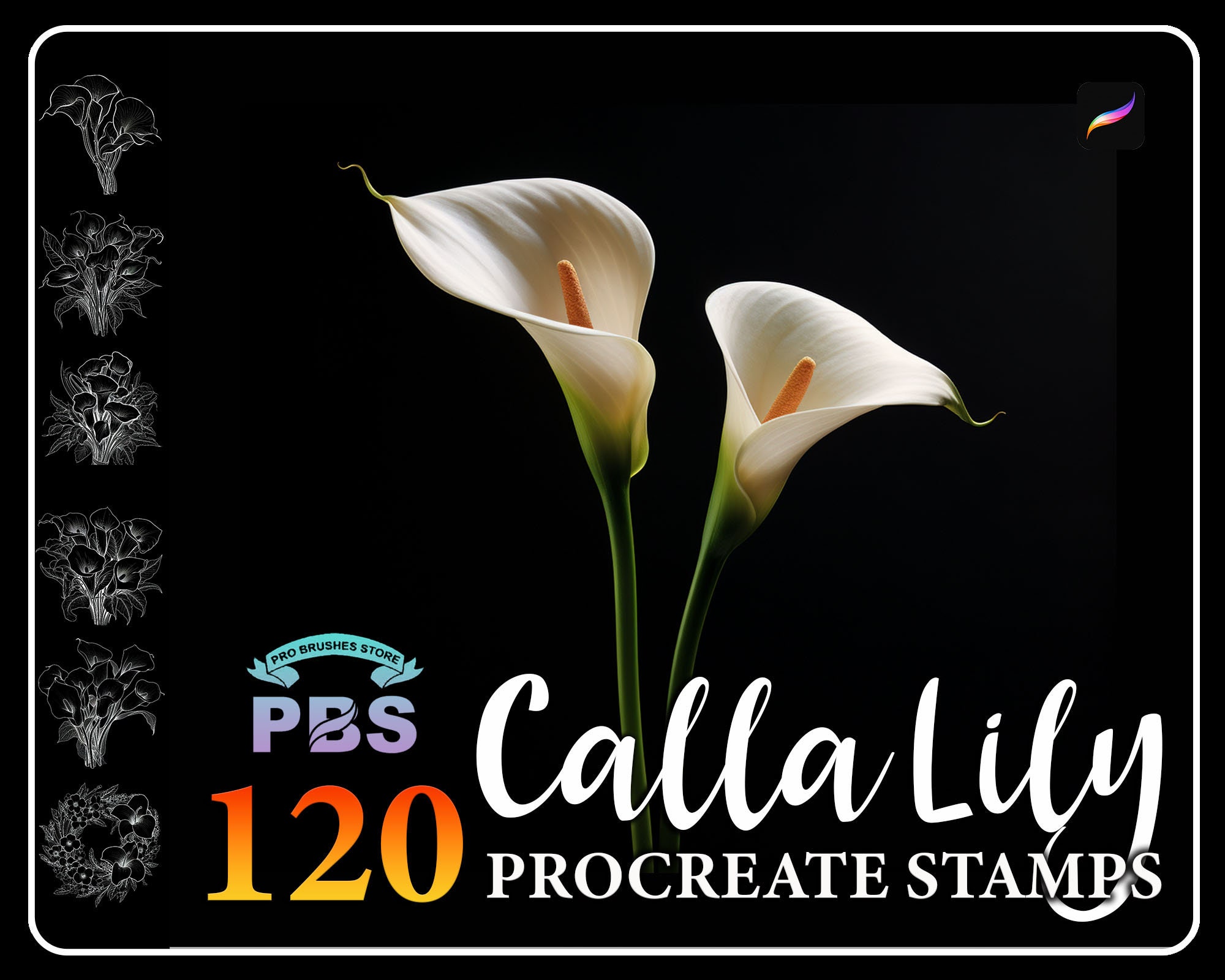 120 Procreate Calla Lily Stampscalla Lily Stamps for - Etsy