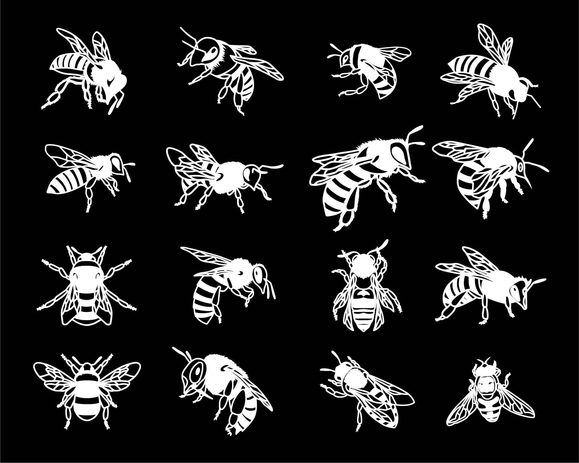 Bee SVG Bundle Cute Bee SVG 36 Bee Svg Honey Bee Svg Bee - Etsy Australia