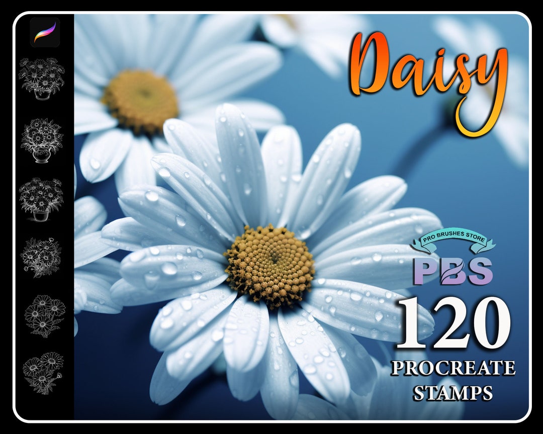 120 Procreate Daisy Stamps, Daisy Brush for Procreate, Flower Procreate ...