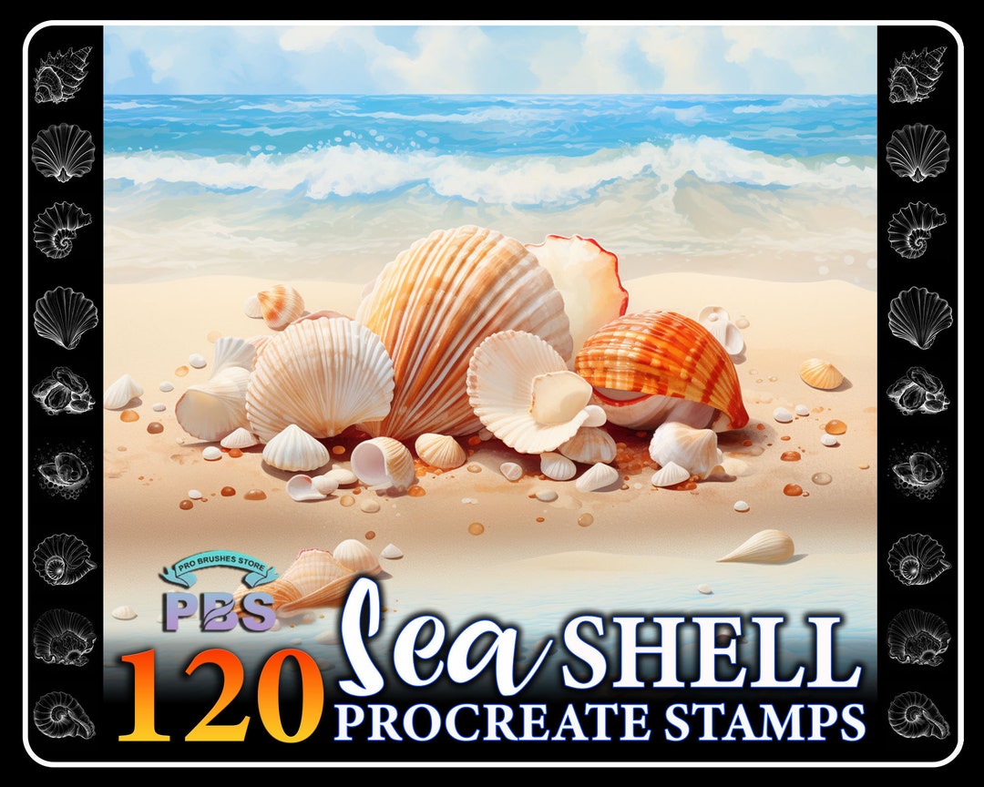 120 Procreate Sea Shell Stamps, Sea Shell Stamps for Procreate, Sea ...
