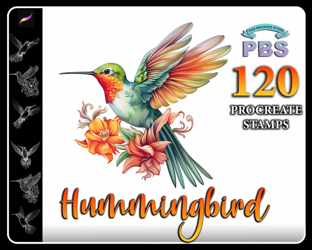 120 Hummingbird Procreate Stamps: Floral Brush Set (digital Download ...