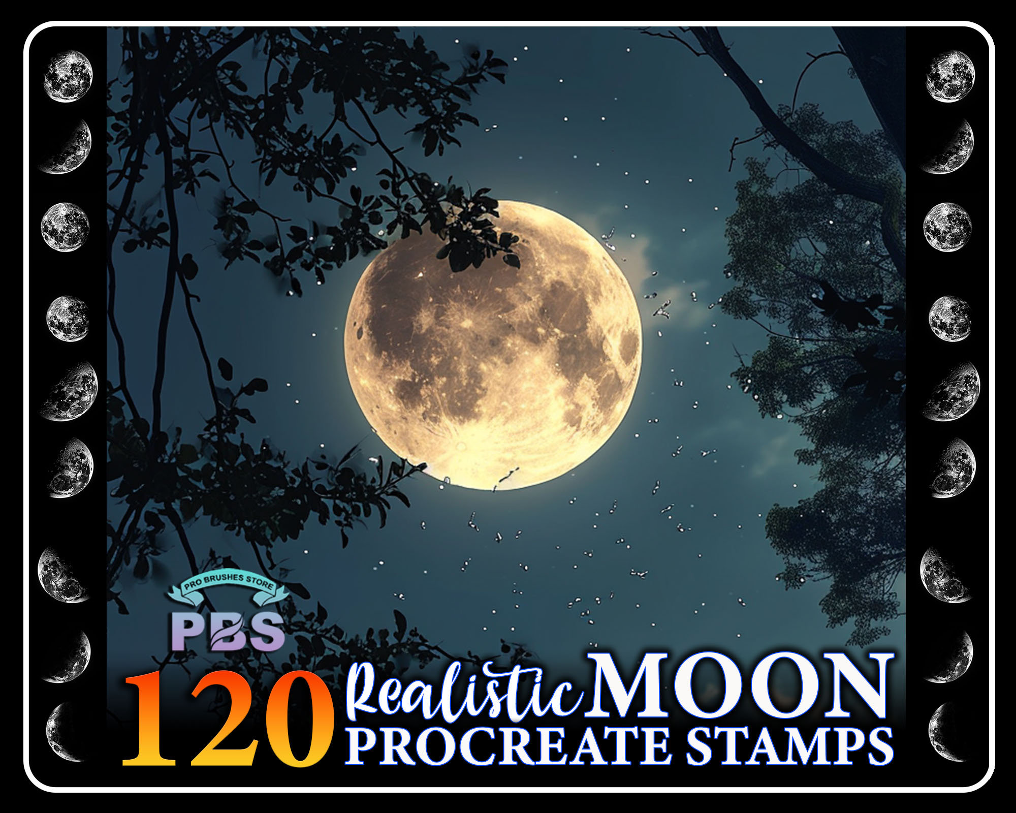 120 Procreate Realistic Moon Stamps, Moon Phase Stamps for Procreate ...