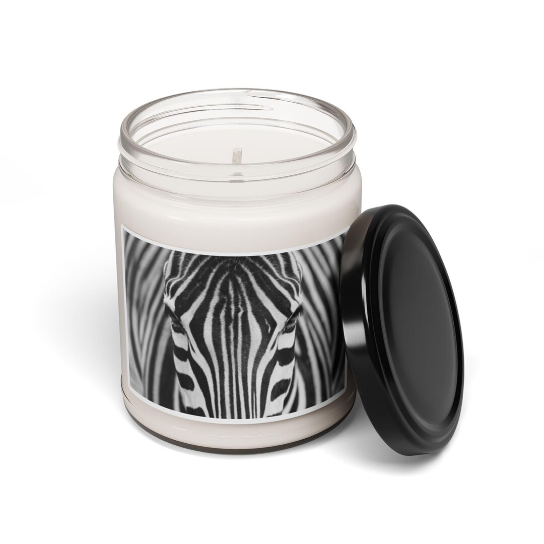 Zebra Vision Candle - Etsy