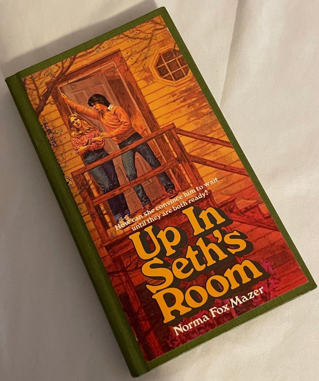 Up in Seth's Room Norma Fox Mazer library Binding - Etsy