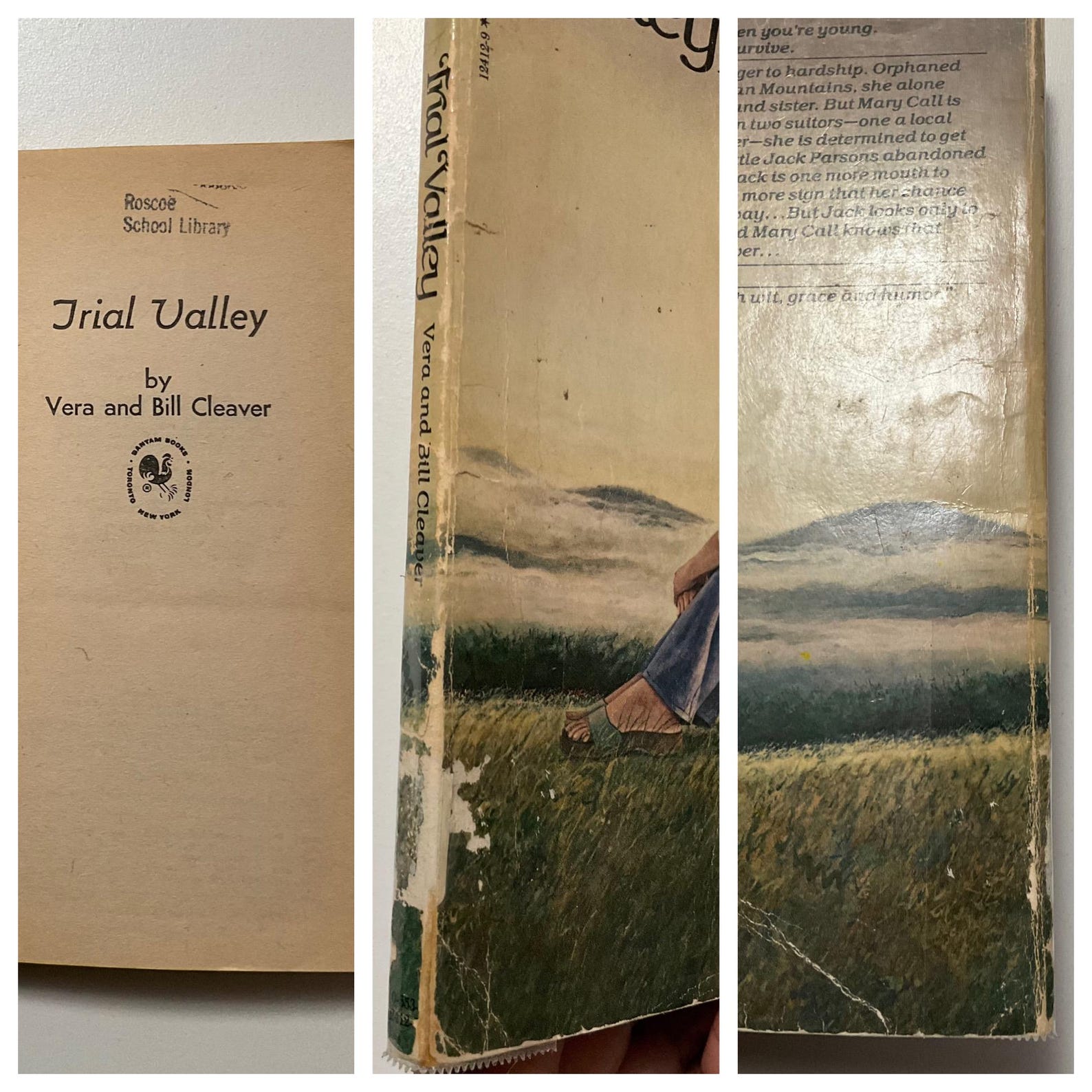 Where the Lilies Bloom/trial Valley - Vera & Bill Cleaver (complete Set ...