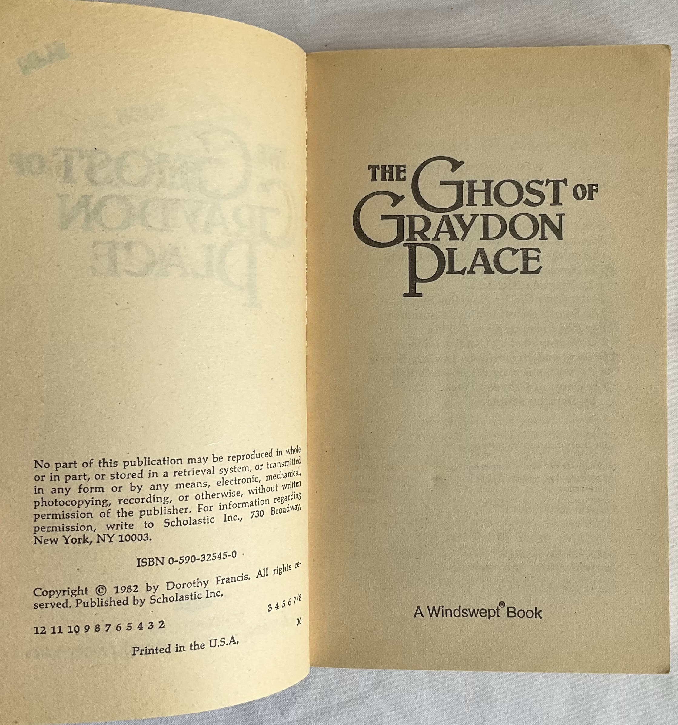Windswept Mystery/romance 11 the Ghost of Graydon Place - Etsy