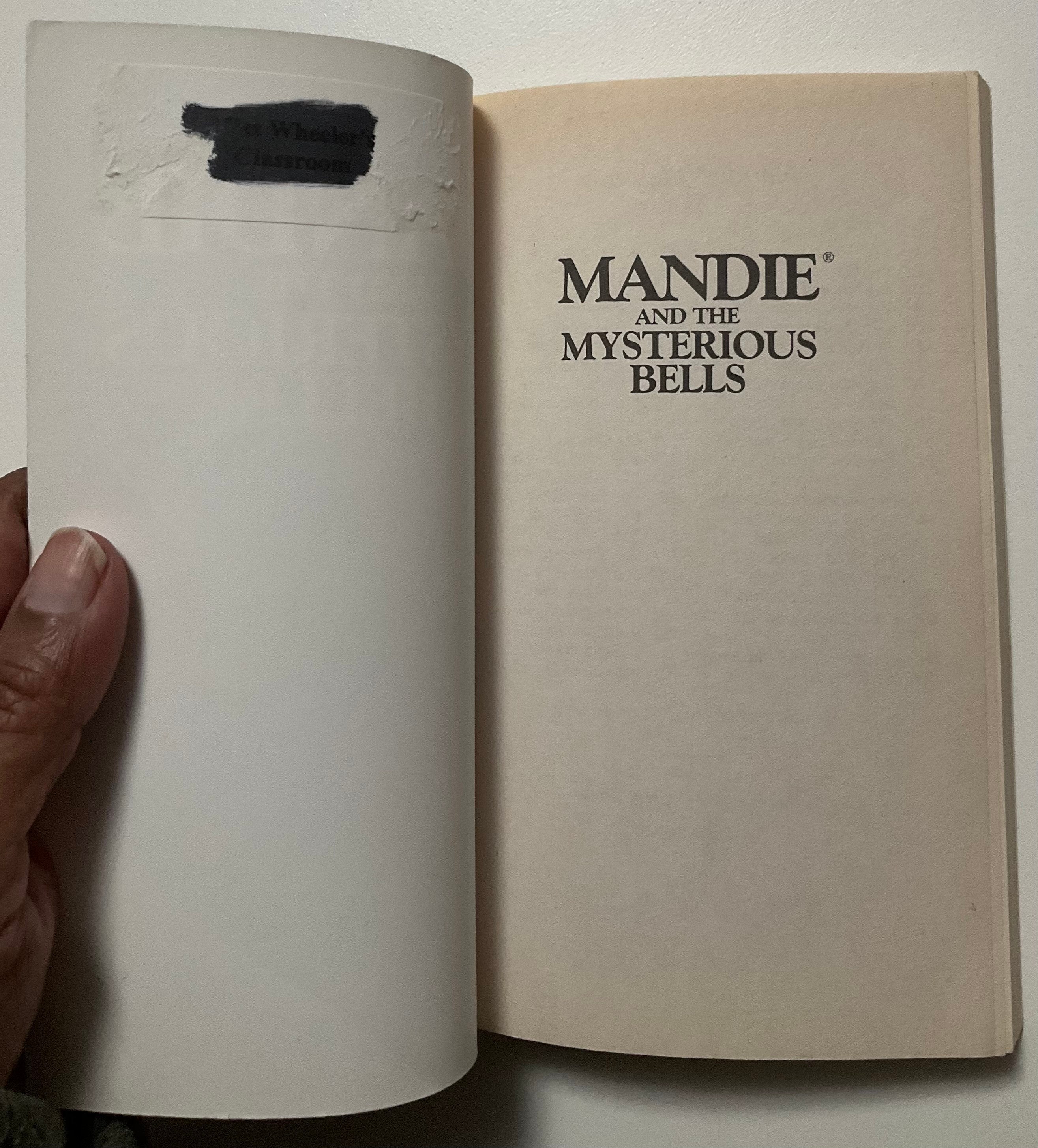 A Mandie Book Series Lois Gladys Leppard set of 11 - Etsy