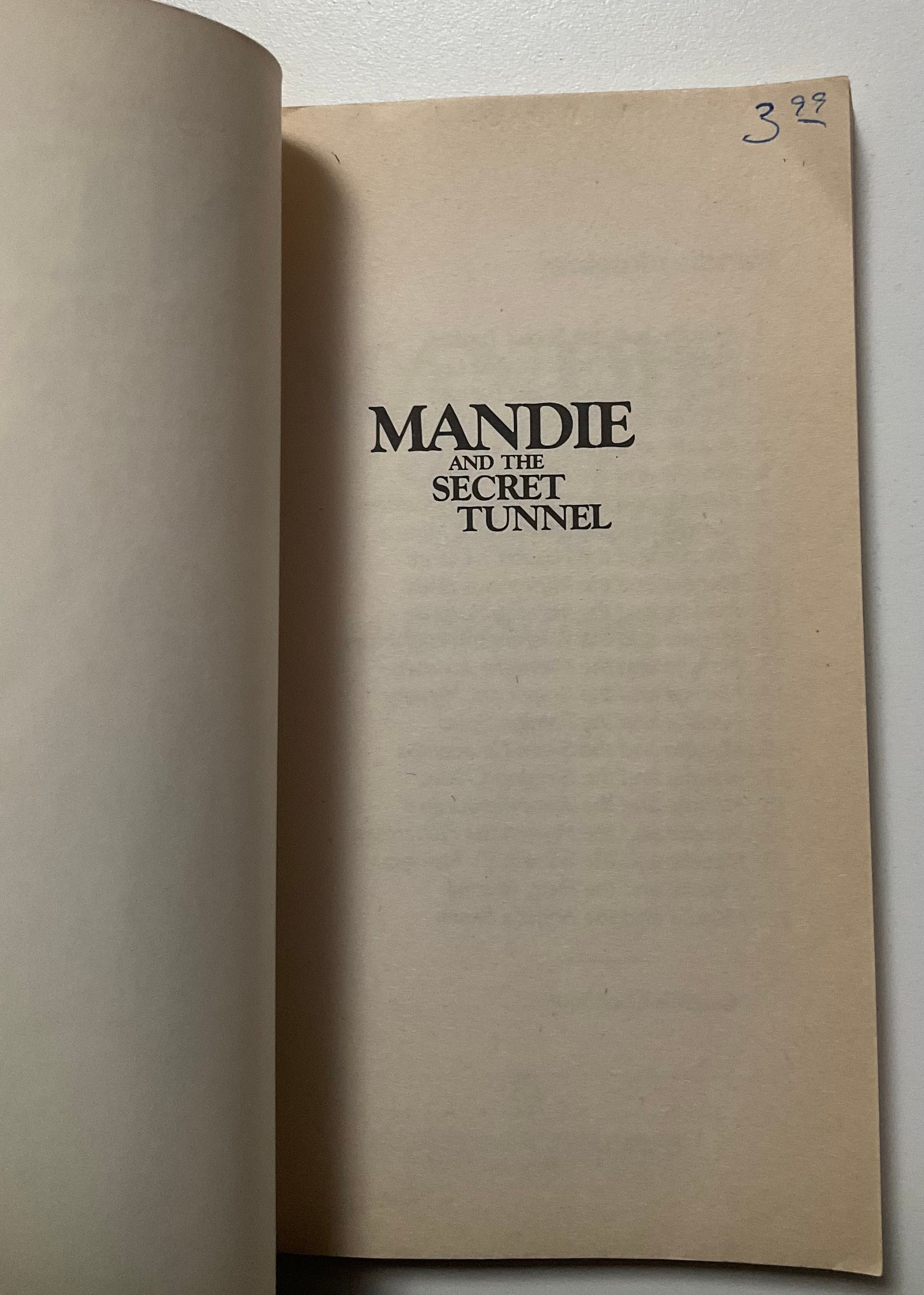 A Mandie Book Series Lois Gladys Leppard set of 11 - Etsy