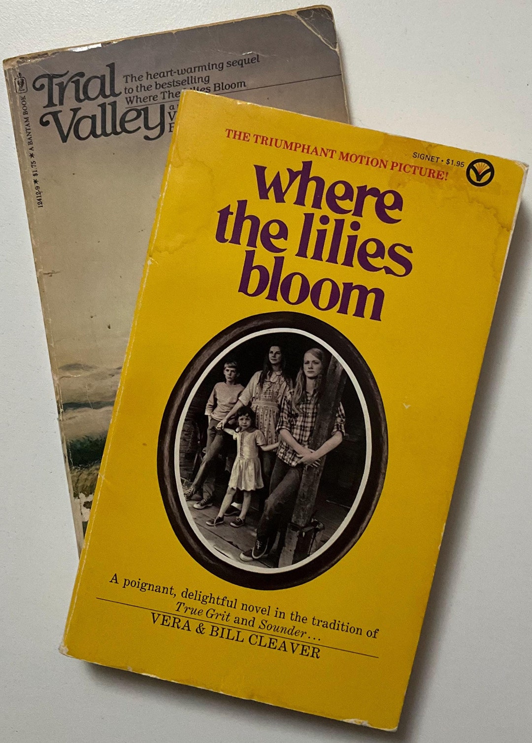 Where the Lilies Bloom/trial Valley - Vera & Bill Cleaver (complete Set ...