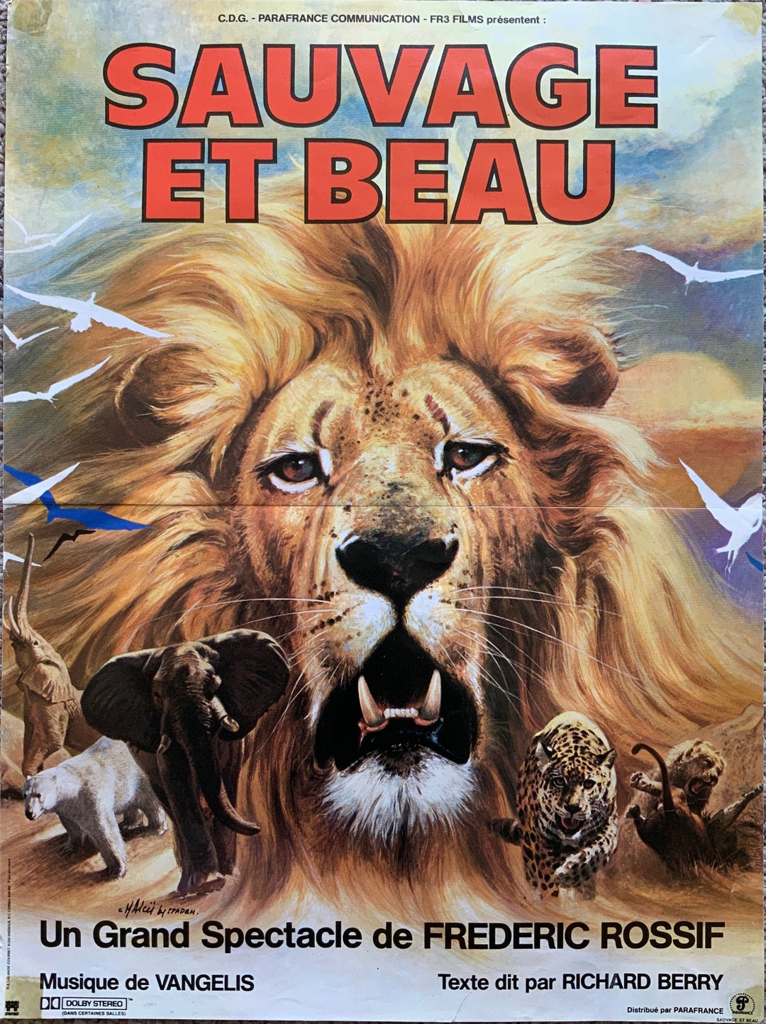 Sauvage Et Beau wild and Beautiful Original 1984 French Poster 21x15 ...