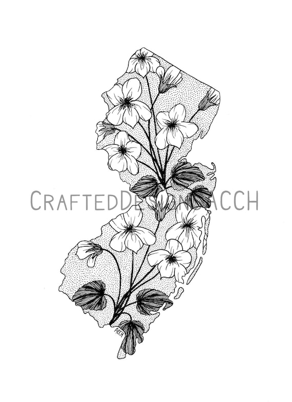 New Jersey State Flower Coloring Page