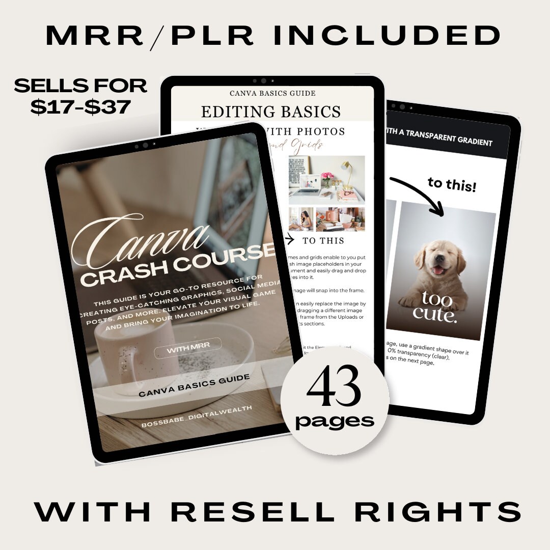 Canva Crash Course Guide A Done for You Step by Step Guide Digital ...