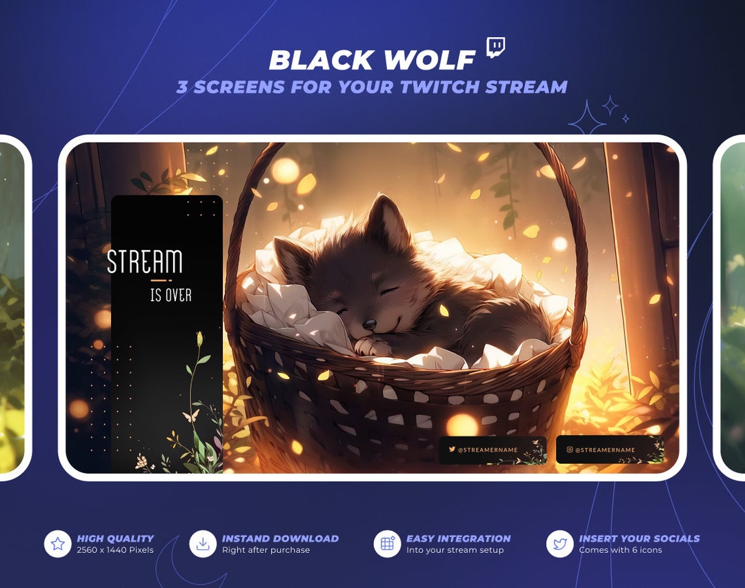 Black Wolf - Cozy Anime Forest Twitch Stream Backgrounds - 1440p ...