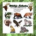 Wildlife Embroidery Pattern Collection Machine Embroidery Design - Etsy