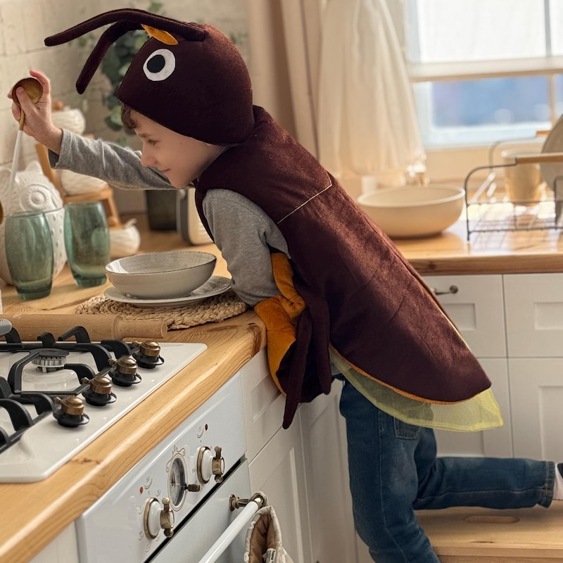 Cockroach Costume - Etsy