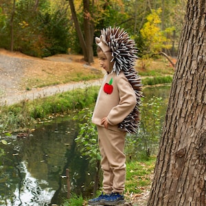 Halloween Adventure: Toddler Hedgehog Costume - Etsy