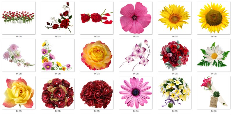 100 Flowers PNG roses PNG Fall Overlays photoshop Overlay - Etsy