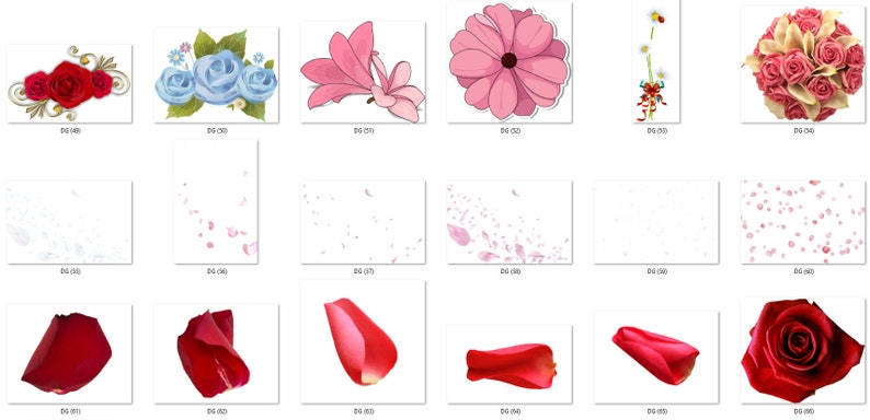 100 Flowers PNG roses PNG Fall Overlays photoshop Overlay - Etsy