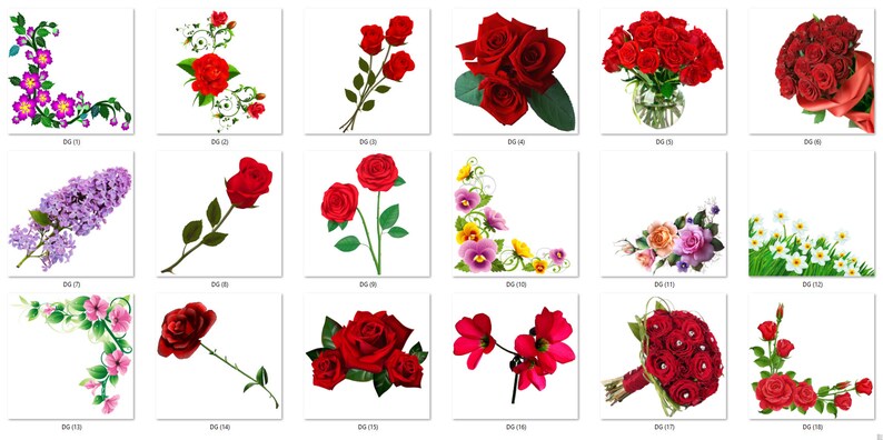 100 Flowers PNG roses PNG Fall Overlays photoshop Overlay - Etsy
