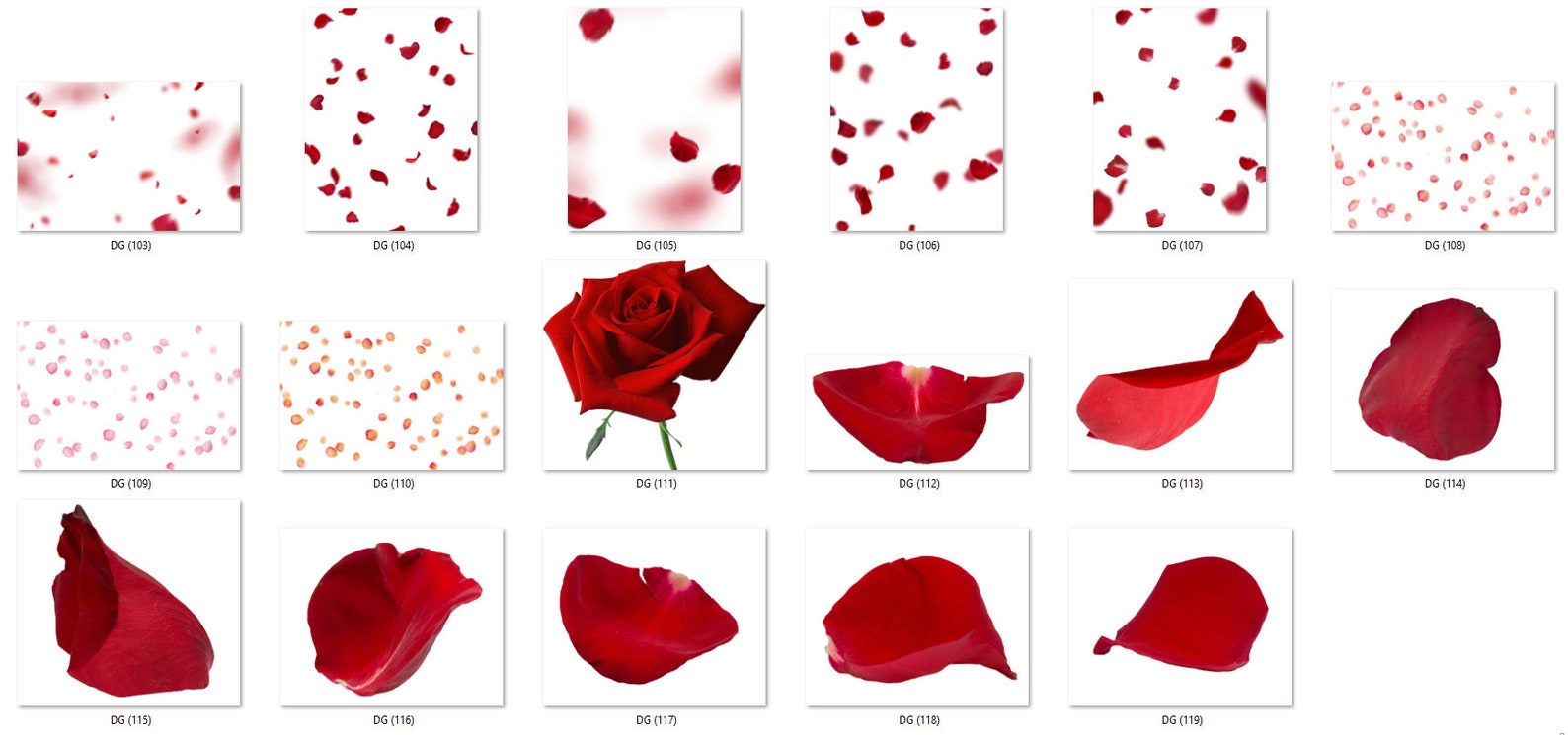 100 Flowers PNG roses PNG Fall Overlays photoshop Overlay - Etsy