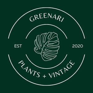 Backgammon of Today by John Longacre (1973) | Vintage Hardcover Coffee ...