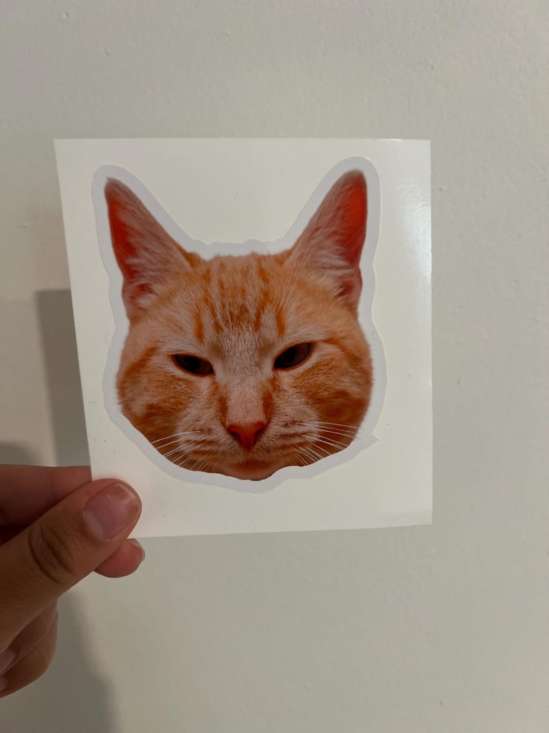 Custom Pet Face Stickers – Personalized Cat Stickers, Pet Parent Gift ...