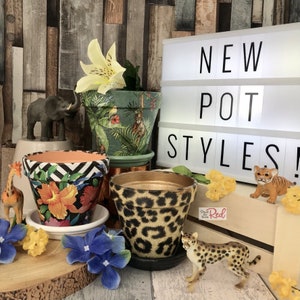 Leopard Print Plant Pot With Saucer, Animal Print Gift, Tropical Gift ...