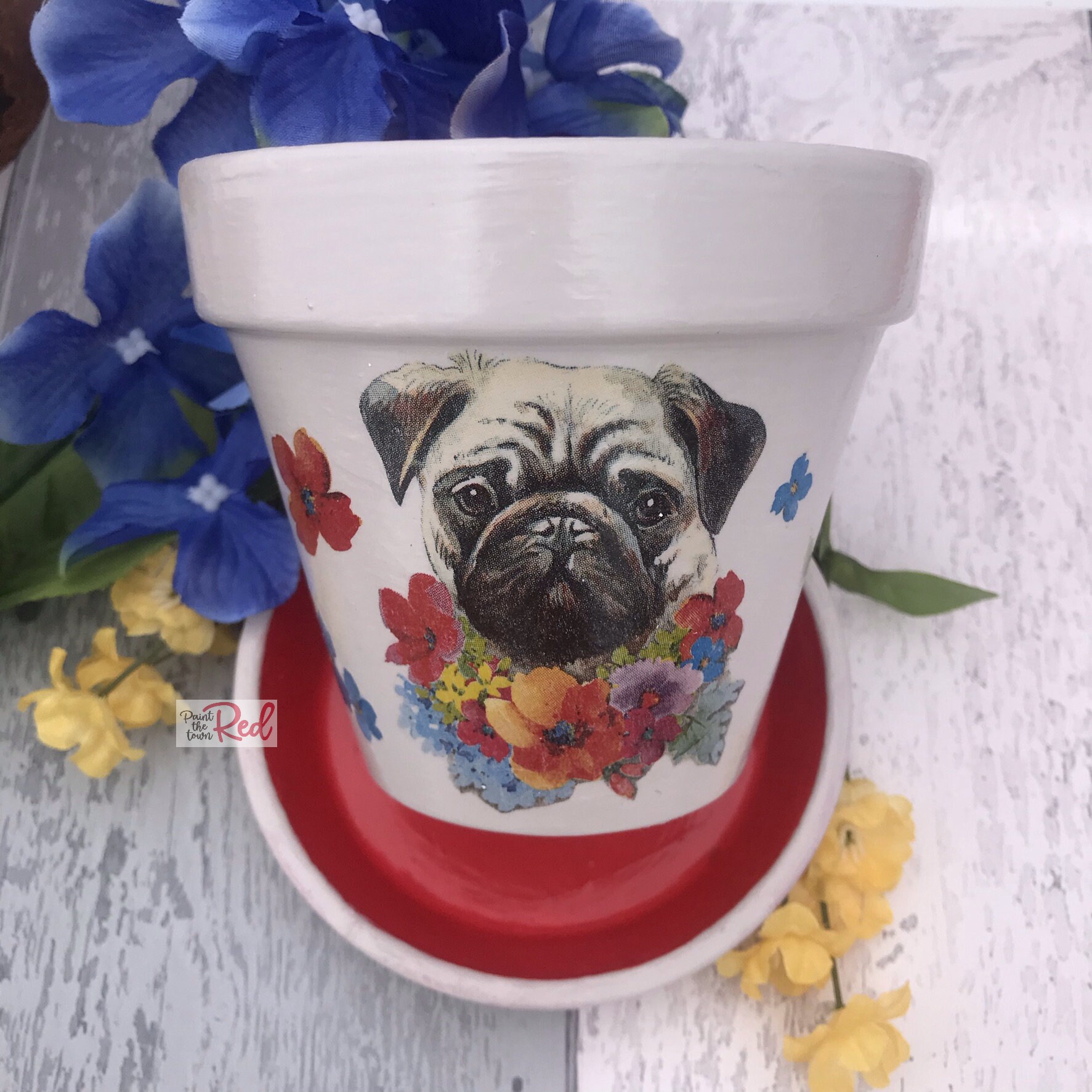 Pug Plant Pot and Saucer Pug Gifts Terracotta Plant Pot - Etsy UK