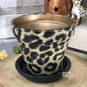 Leopard Print Plant Pot With Saucer, Animal Print Gift, Tropical Gifts ...