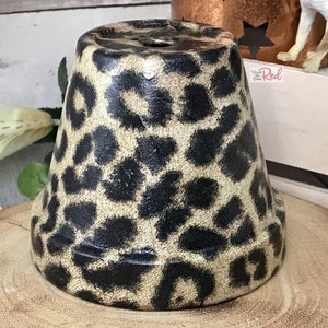 Leopard Print Plant Pot With Saucer, Animal Print Gift, Tropical Gift ...