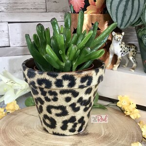 Leopard Print Plant Pot With Saucer, Animal Print Gift, Tropical Gift ...