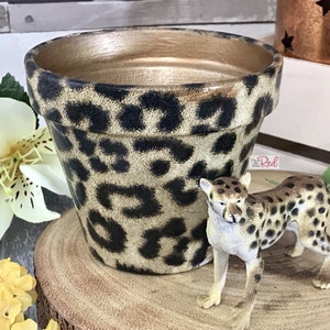 Leopard Print Plant Pot With Saucer, Animal Print Gift, Tropical Gift ...