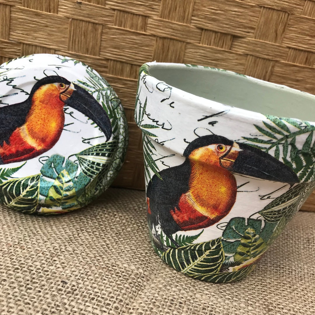 Toucan Plant Pot Gift, Terracotta Pot, Toucan Gift, Tropical Plant ...