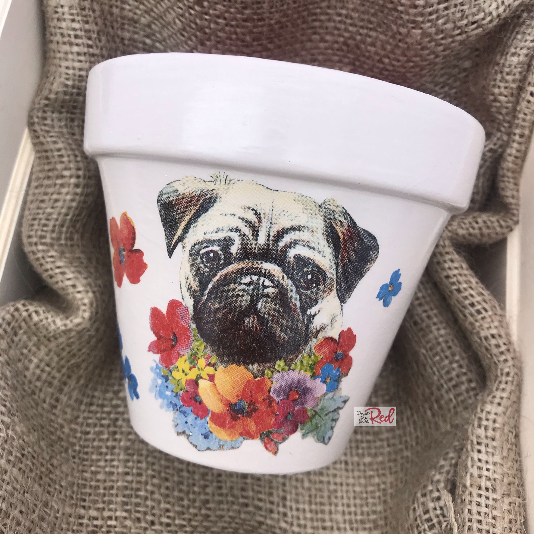 Pug Plant Pot and Saucer, Pug Gifts, Terracotta, Dog Plant Pot, Indoor ...