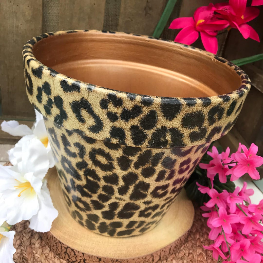 Leopard Print Plant Pot With Saucer, Animal Print Gift, Tropical Gift ...