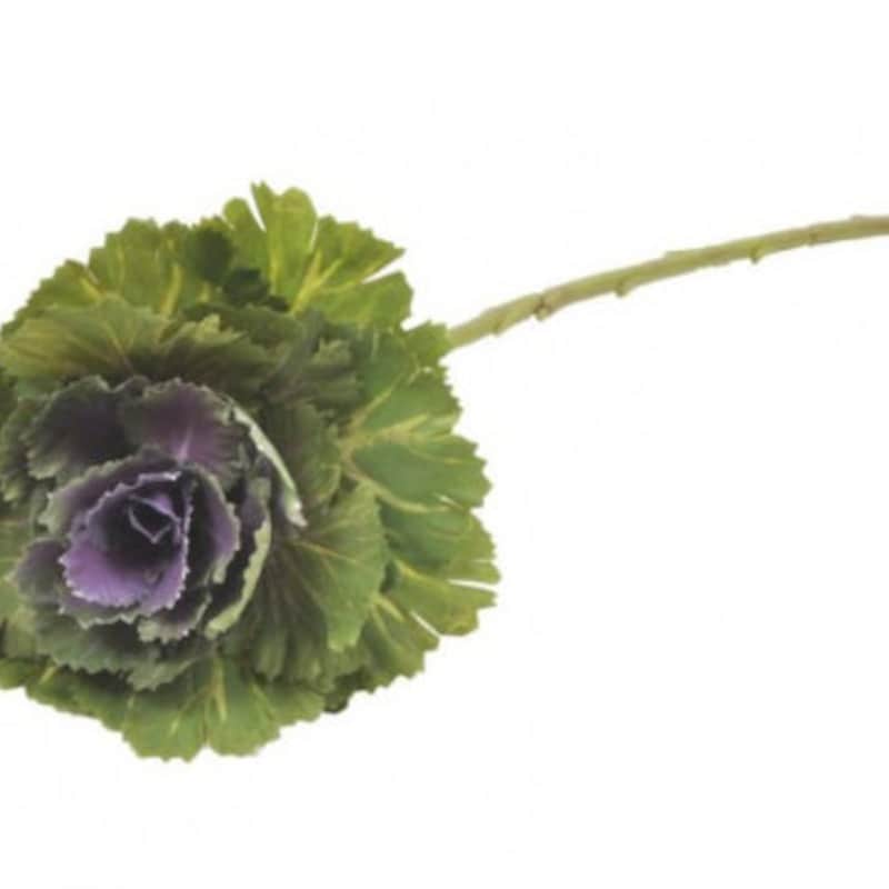 Artificial cabbages - Etsy Polska