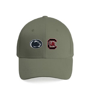 Custom House Divided Cap, Personalized Team Support Cap, American ...