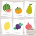 Fruits Flash Cards, Learning Cards, Montessori Materials, Homeschool ...