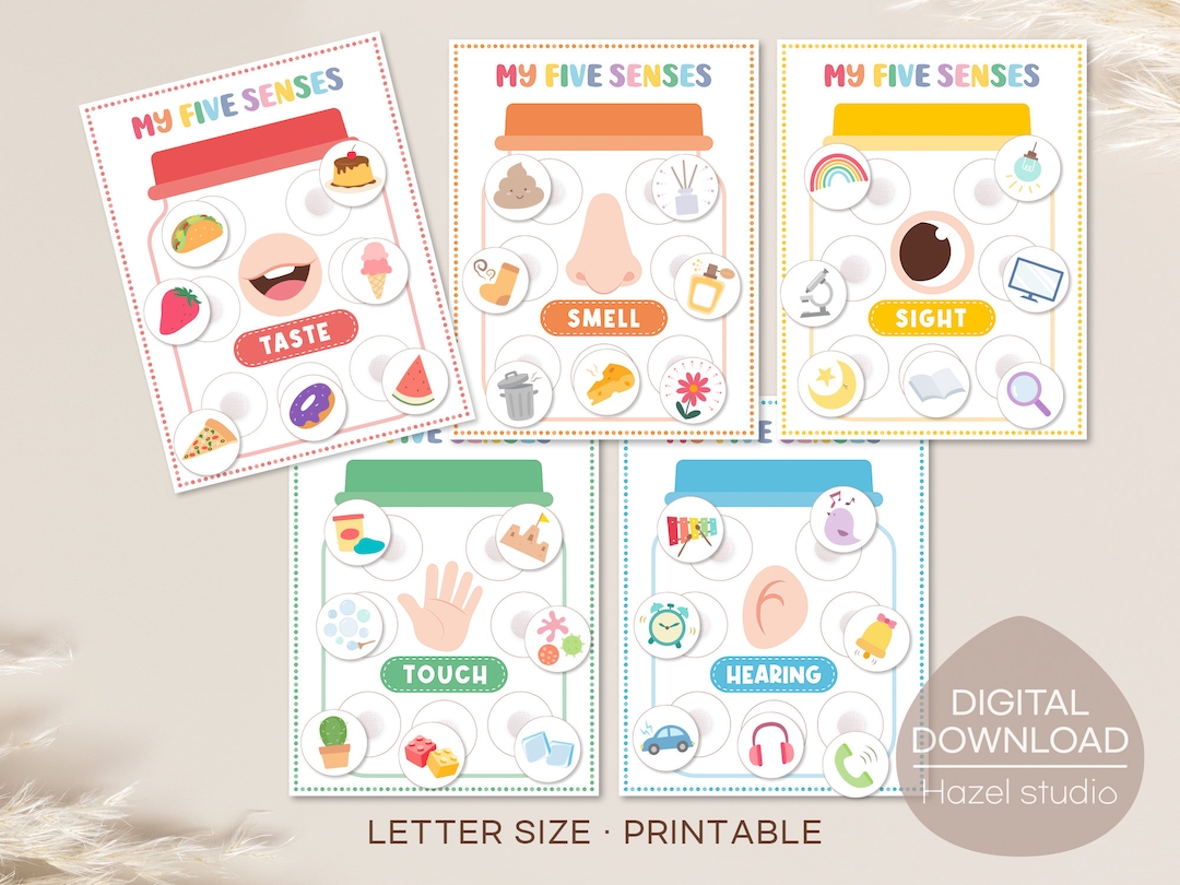 Five Senses Sorting Activity: Montessori Toddler Busy Book (digital ...