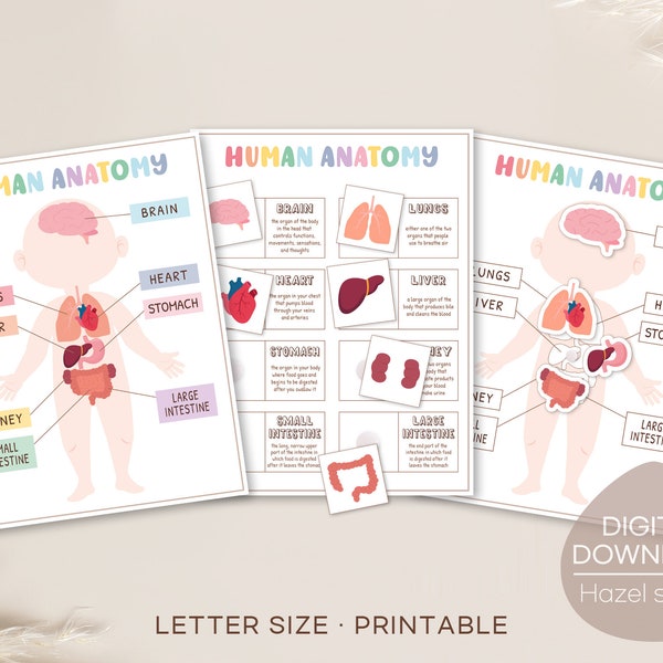 Montessori Materials - Etsy