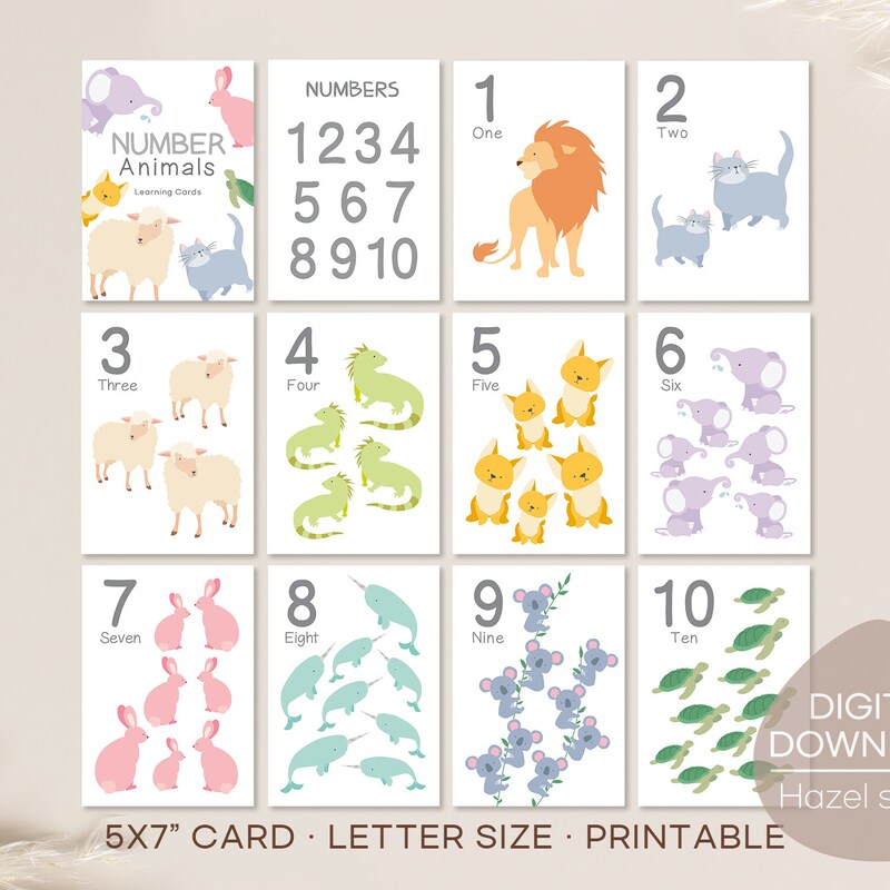Number Flash Cards - Etsy