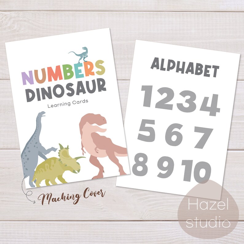 Number Flash Cards Dinosaur Number Cards Montessori - Etsy