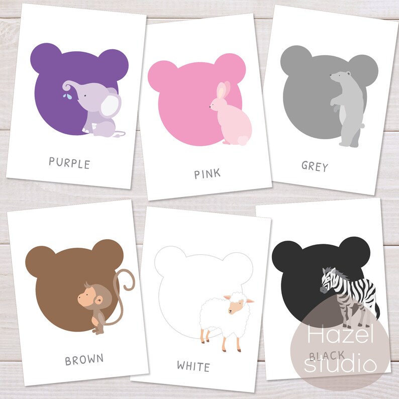 Colors Flash Cards Animal Colors Cards Montessori Materials - Etsy
