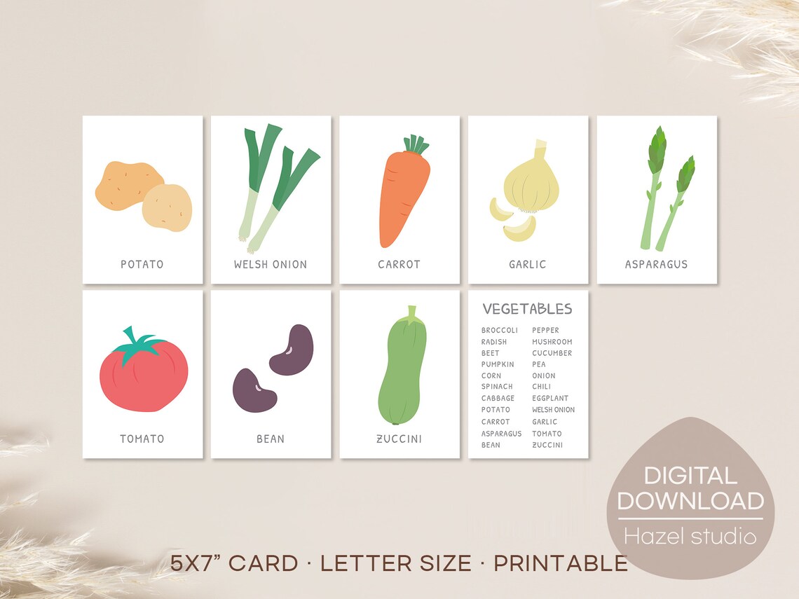 Vegetables Flash Cards Learning Cards Montessori Materials - Etsy